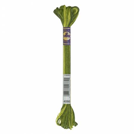 DMC Variations Embroidery Floss - 8.7yd Skein - Amazon Moss #4066 – Red ...