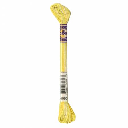 DMC Variations Embroidery Floss - 8.7yd Skein - Daffodil Fields #4080 ...