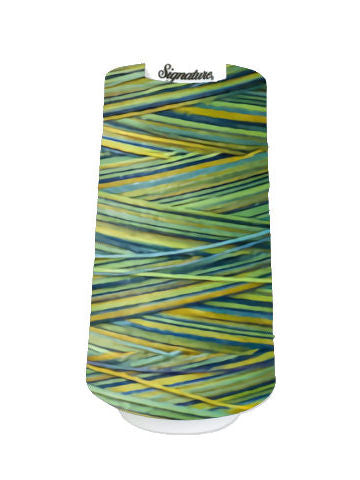 Signature 40wt Variegated Cotton Quilting Thread - 3000yd - French ...