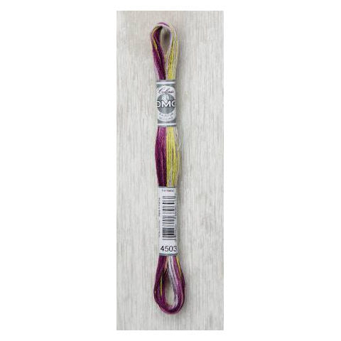 DMC Coloris 6 Strand Variegated Floss - 8.7yd Skein - Wisteria #4503 ...