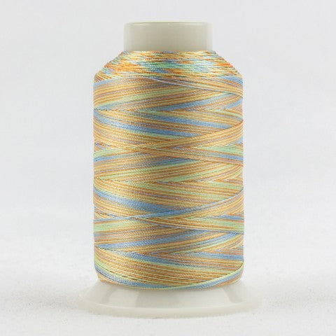 Wonderfil Fabulux Variegated 40wt Polyester Thread - 3000yd - Rocking ...