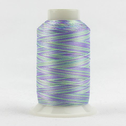 Wonderfil Fabulux Variegated 40wt Polyester Thread - 3000yd - Cuddle ...