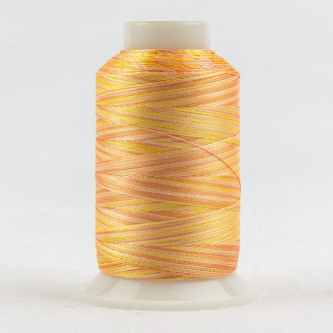 Wonderfil Fabulux Variegated 40wt Polyester Thread - 3000yd - Giggle ...