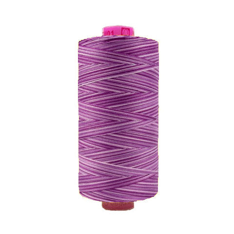 Wonderfil Tutti 50wt Variegated Cotton Thread - 1000m Spool - Grapes # ...