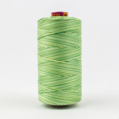 Wonderfil Fruitti 12wt Variegated Cotton Thread - 400m Spool - Leaves # ...